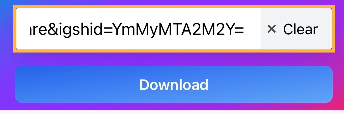 免安裝！IG 影片下載線上工具推薦，IG 照片、限動也可下載！ | 每日一錠數位內容